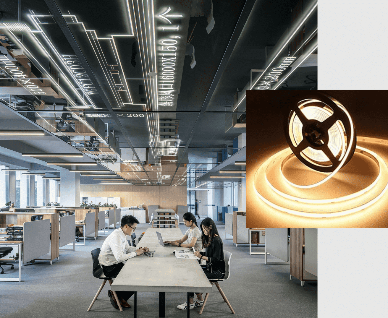Homepage | WEBERS LED